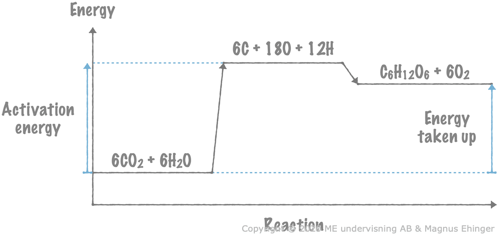 4.1. Endothermic and Exothermic Reactions. Enthalpy. - Mr. Ehinger's ...